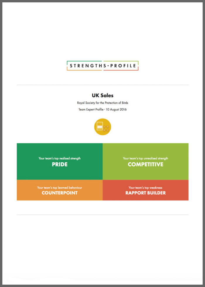 Strengths Profile - Strength Catalyst Partners